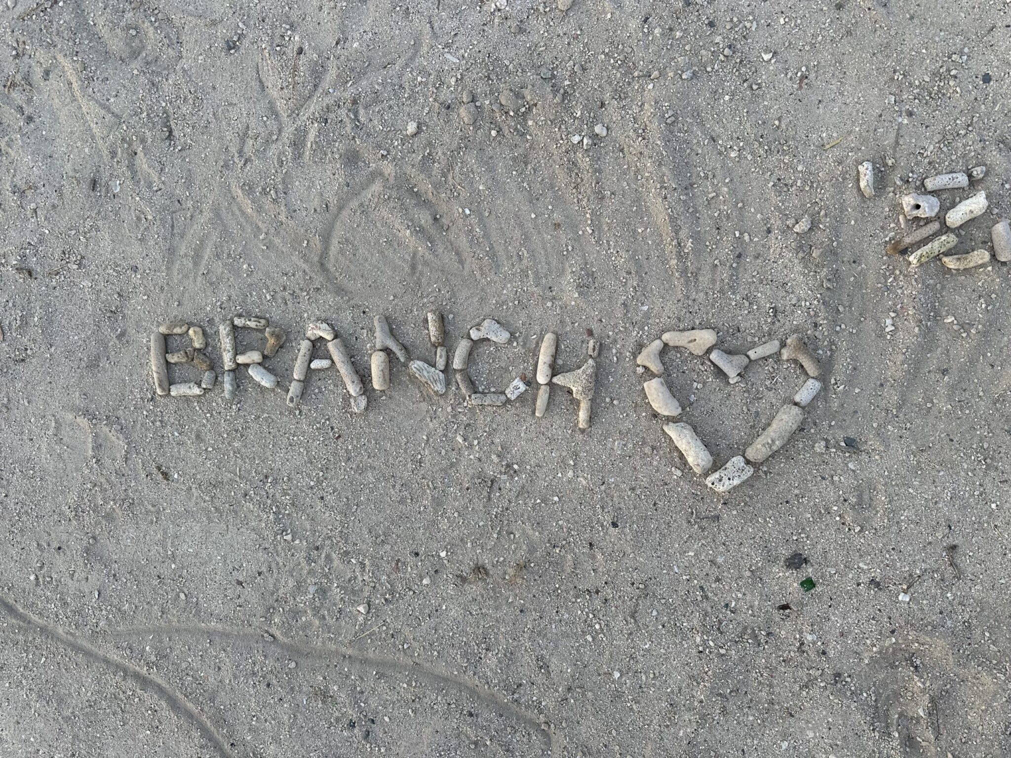 Grow. Reefs. Together. with BRANCH Coral Foundation